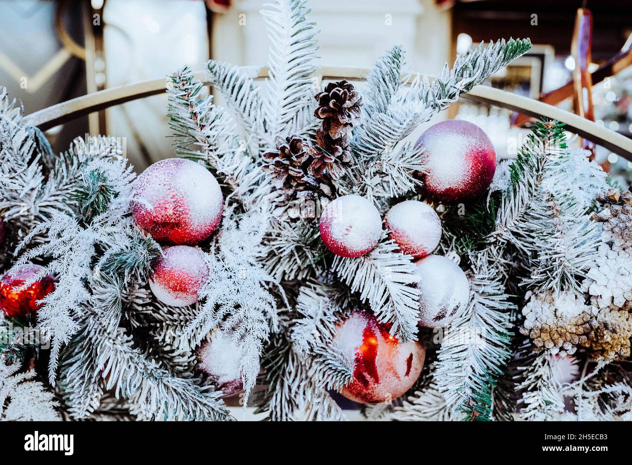 Christmas red balls and forest cones hanging on the branches of a ...