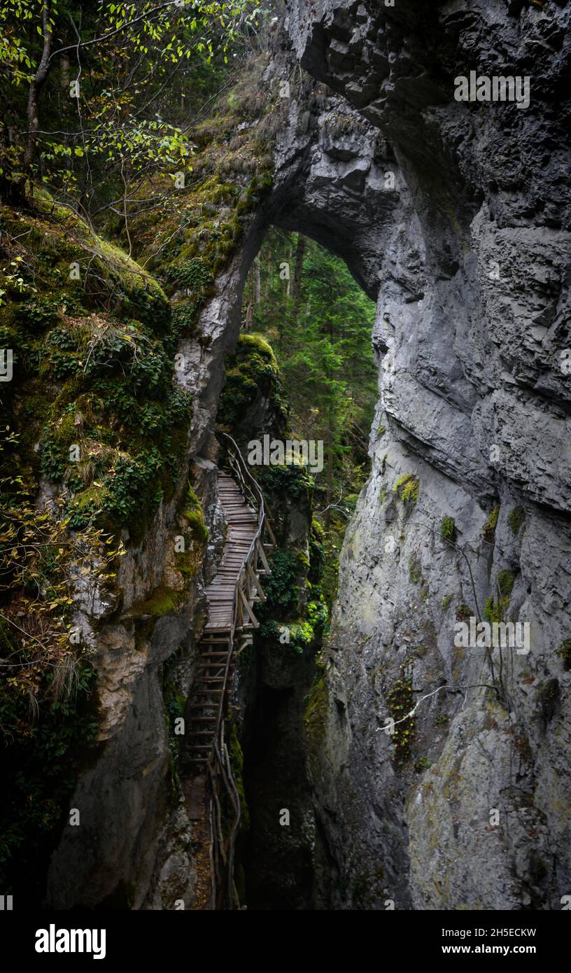 Devil's Path - picturesque eco-path and hiking trail in the Rhodopes mountains, Bulgaria. Wooden ...