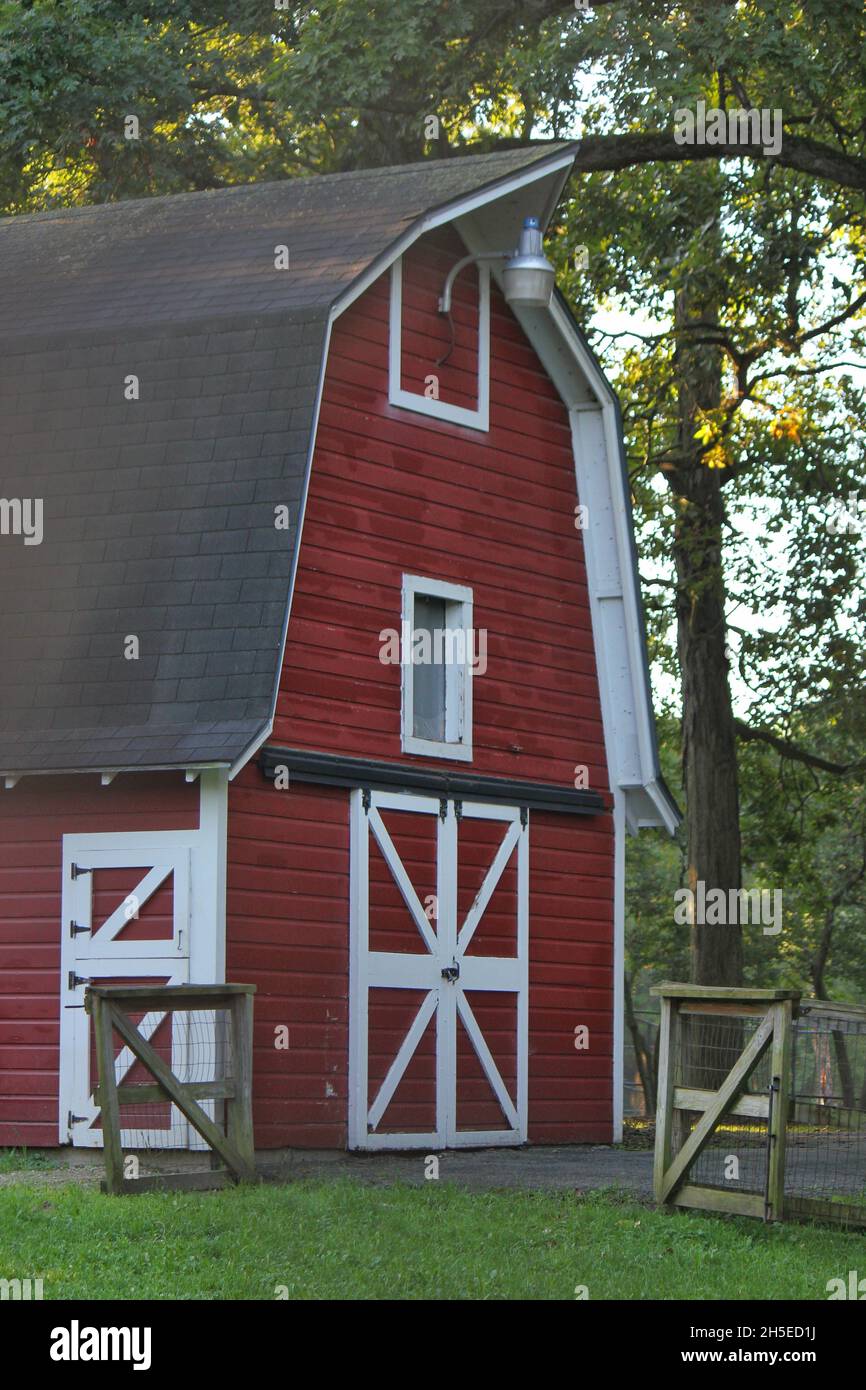 Bright red barn standing in the barnyard Stock Photo - Alamy
