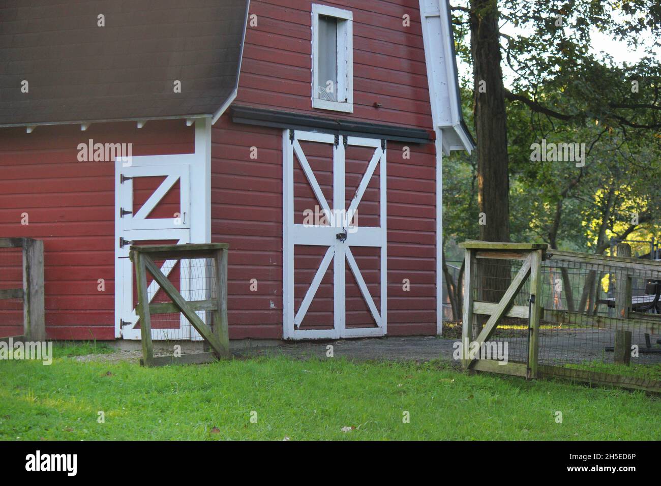 Bright red barn standing in the barnyard Stock Photo - Alamy