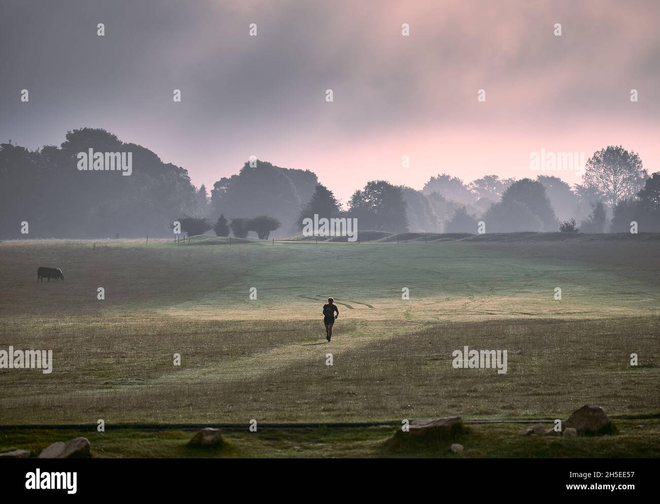 Lone runner hi-res stock photography and images - Alamy