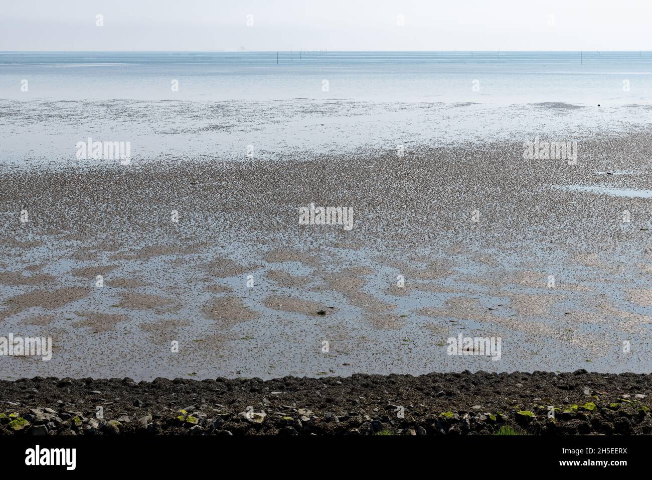 Tidal flat holland hi-res stock photography and images - Alamy