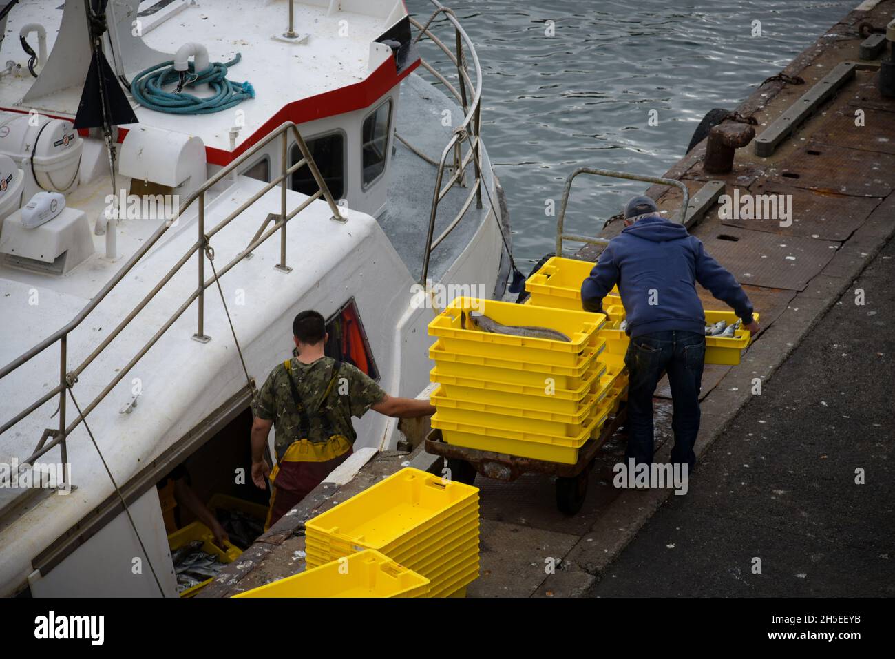 fisherman unloading fish from the boat on the harbor of guilvinec Stock ...