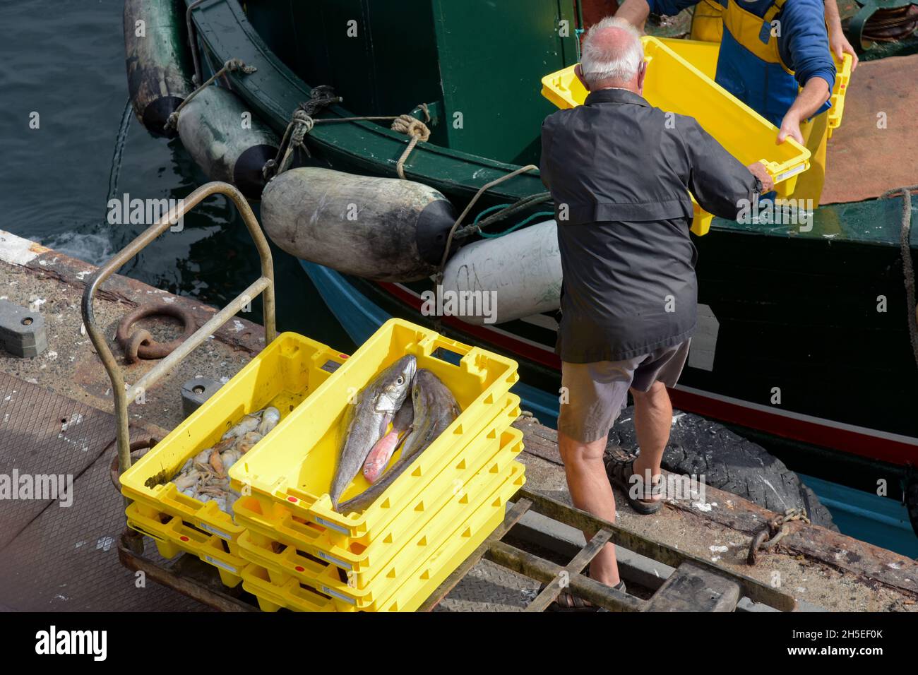fisherman unloading fish from the boat on the harbor of guilvinec Stock ...