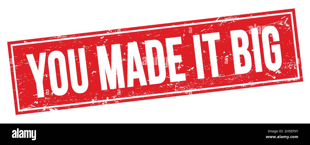 YOU MADE IT BIG text on red grungy rectangle stamp sign Stock Photo - Alamy
