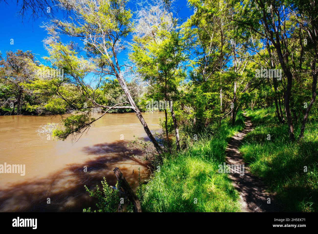 Mount Lofty Circuit Walk in Melbourne Australia Stock Photo - Alamy