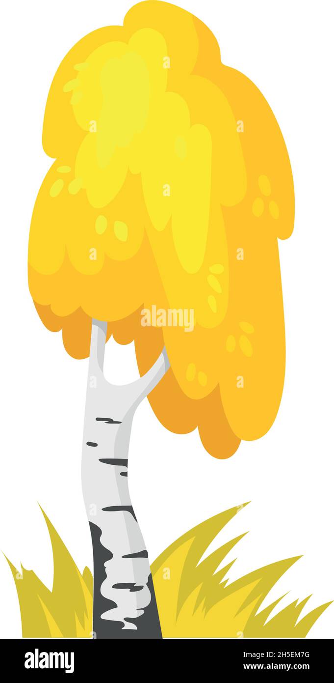 Autumn birch. Cartoon fall tree with yellow leaf, vector design ...