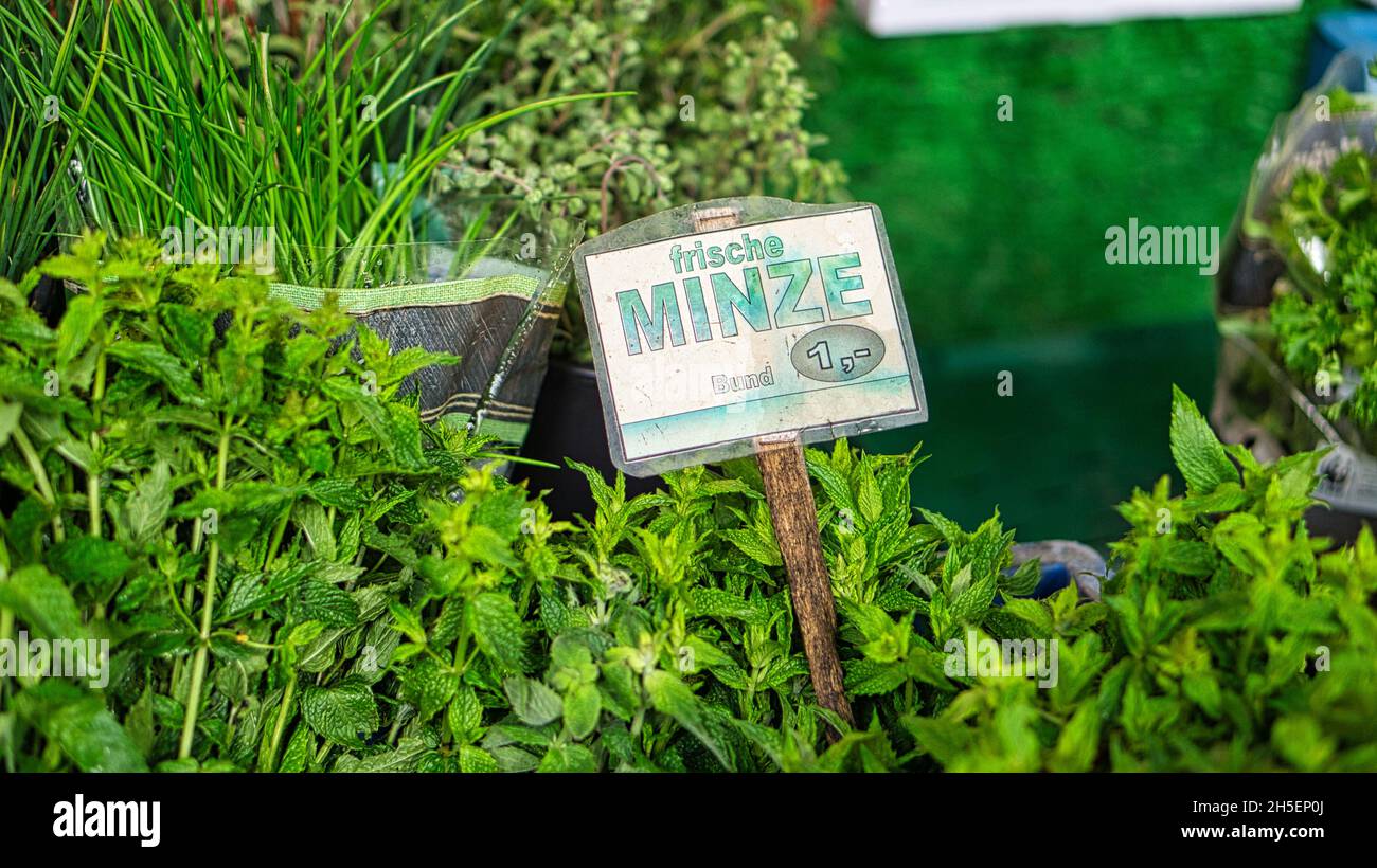 Mint smells hi-res stock photography and images - Alamy