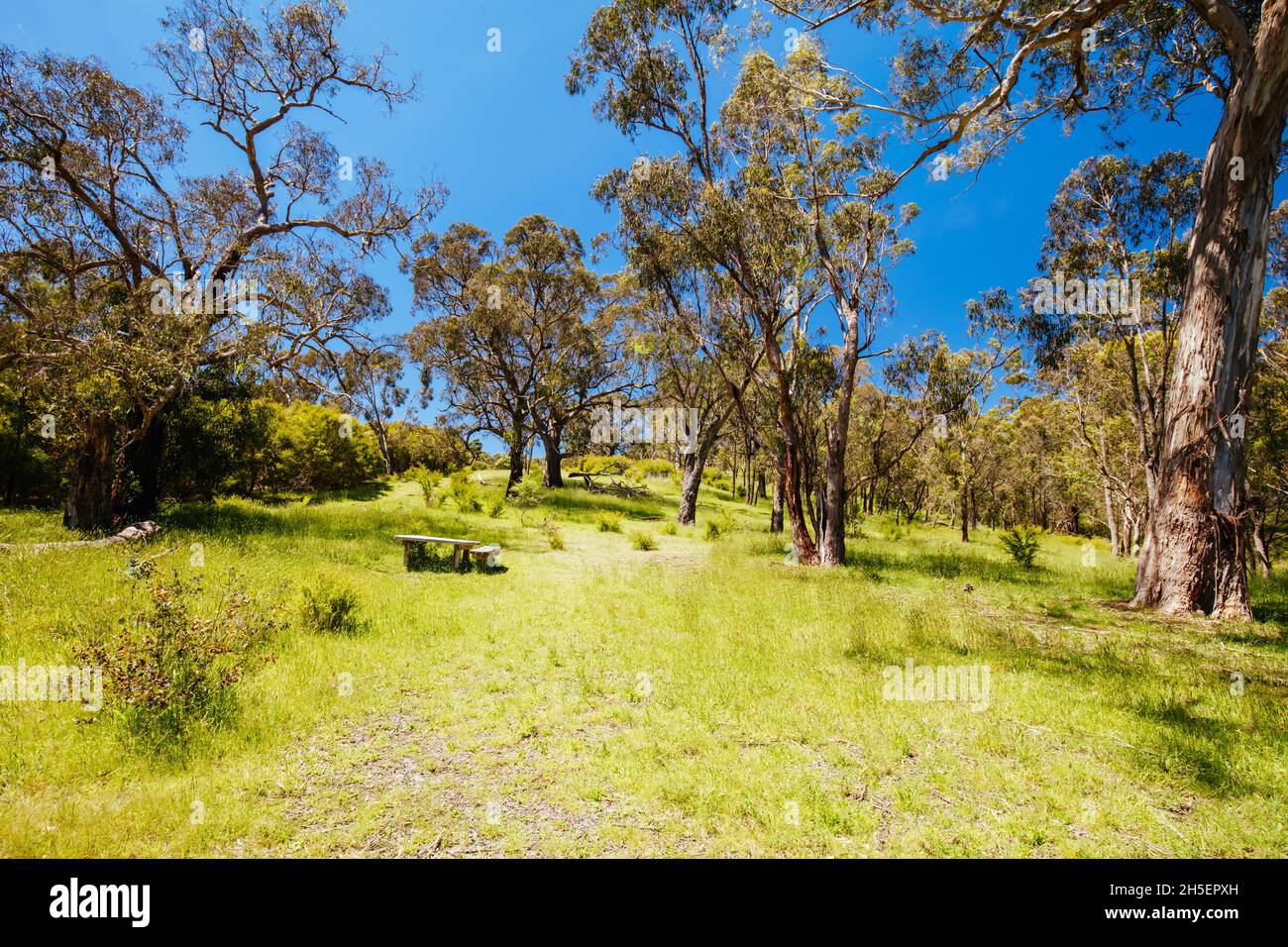 Mount Lofty Circuit Walk in Melbourne Australia Stock Photo - Alamy