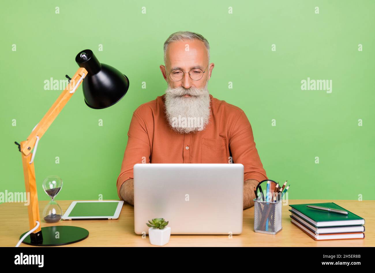 Portrait of attractive skilled focused grey-haired man typing email ...