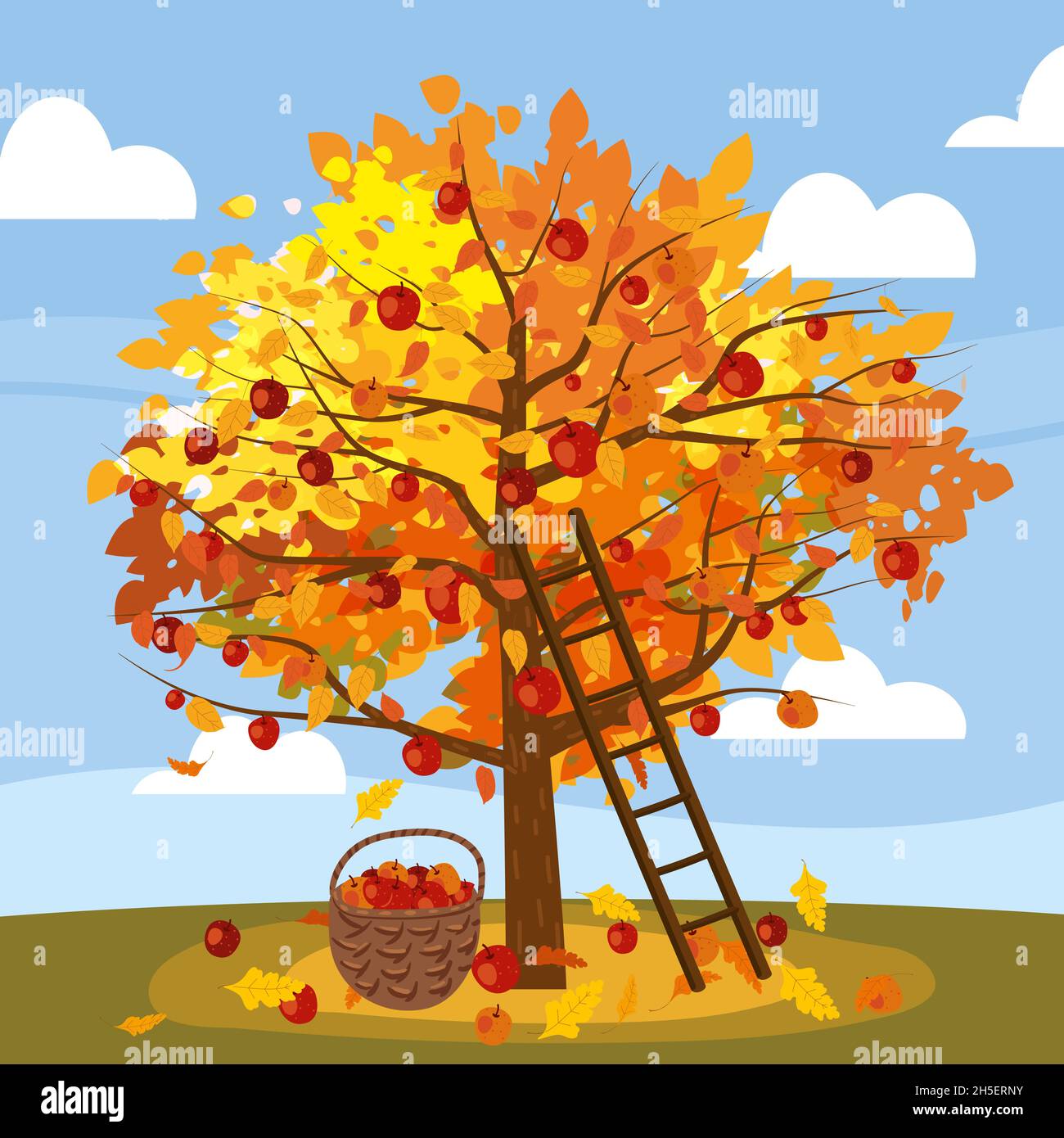 Apple tree with basket of apples, ladder, rural landscape. Hello Autumn ...