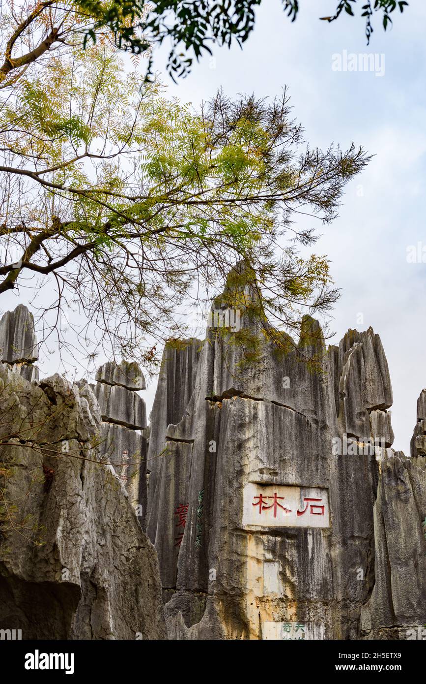 Yunnan, China - 27 March 2016: Shilin stone forest, a karst formation ...