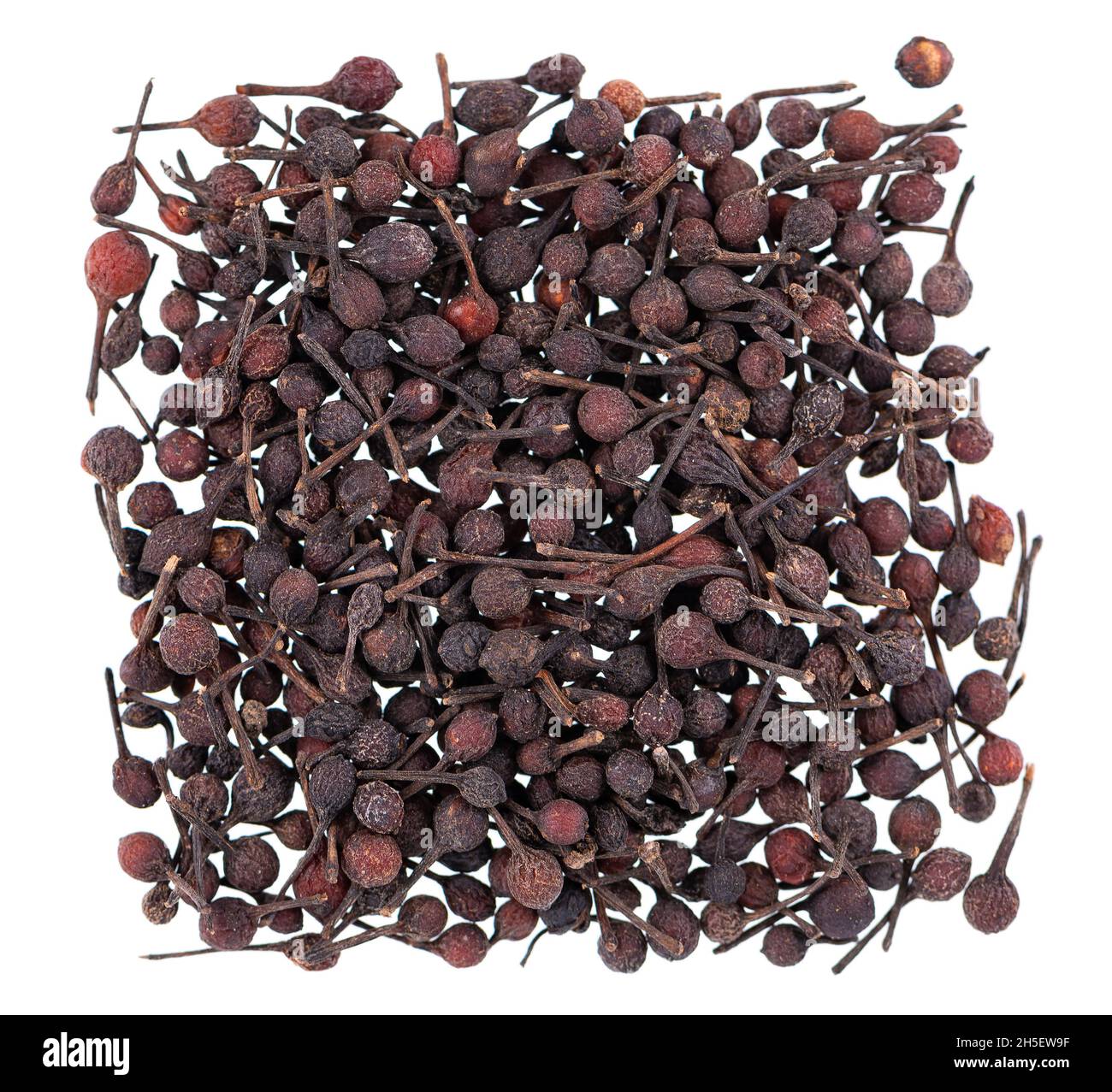 Bourbon pepper isolated on white background. Voatsiperifery or ...