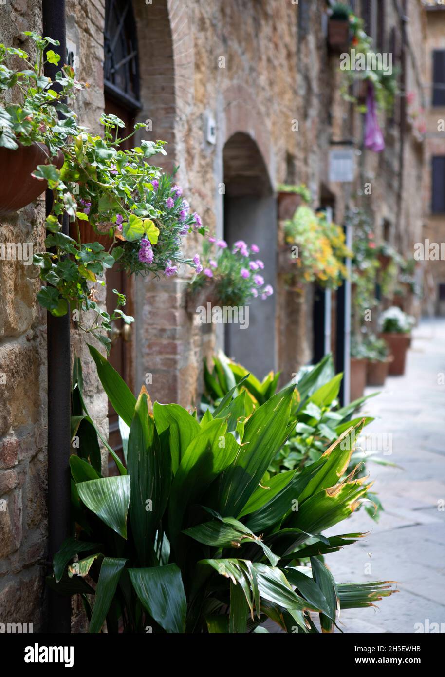 Italian window boxes hi-res stock photography and images - Alamy