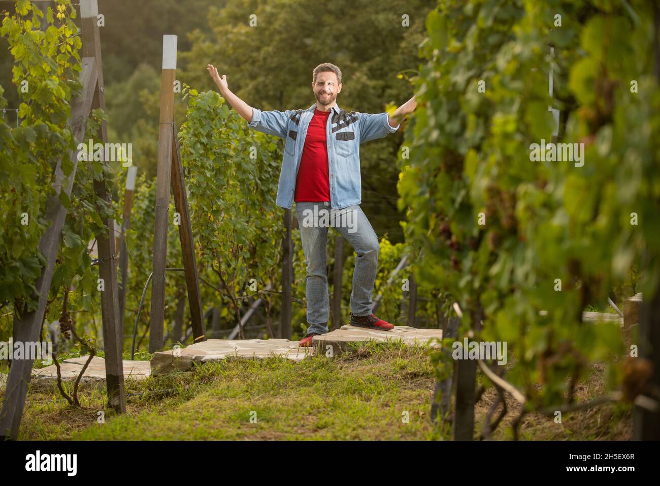 happy male vineyard owner. professional vintner on grape farm. man ...