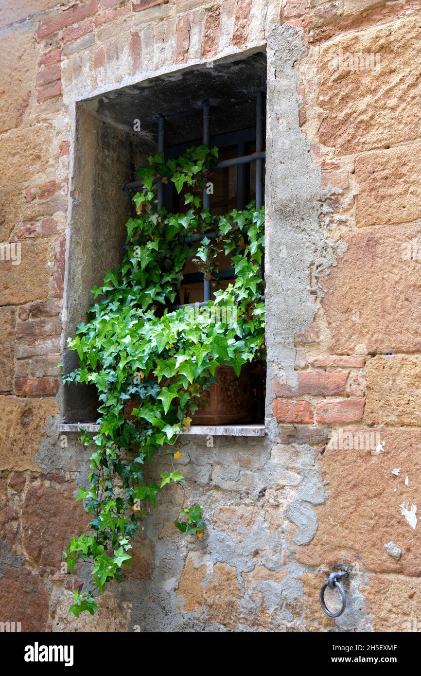 Italian window boxes hi-res stock photography and images - Alamy