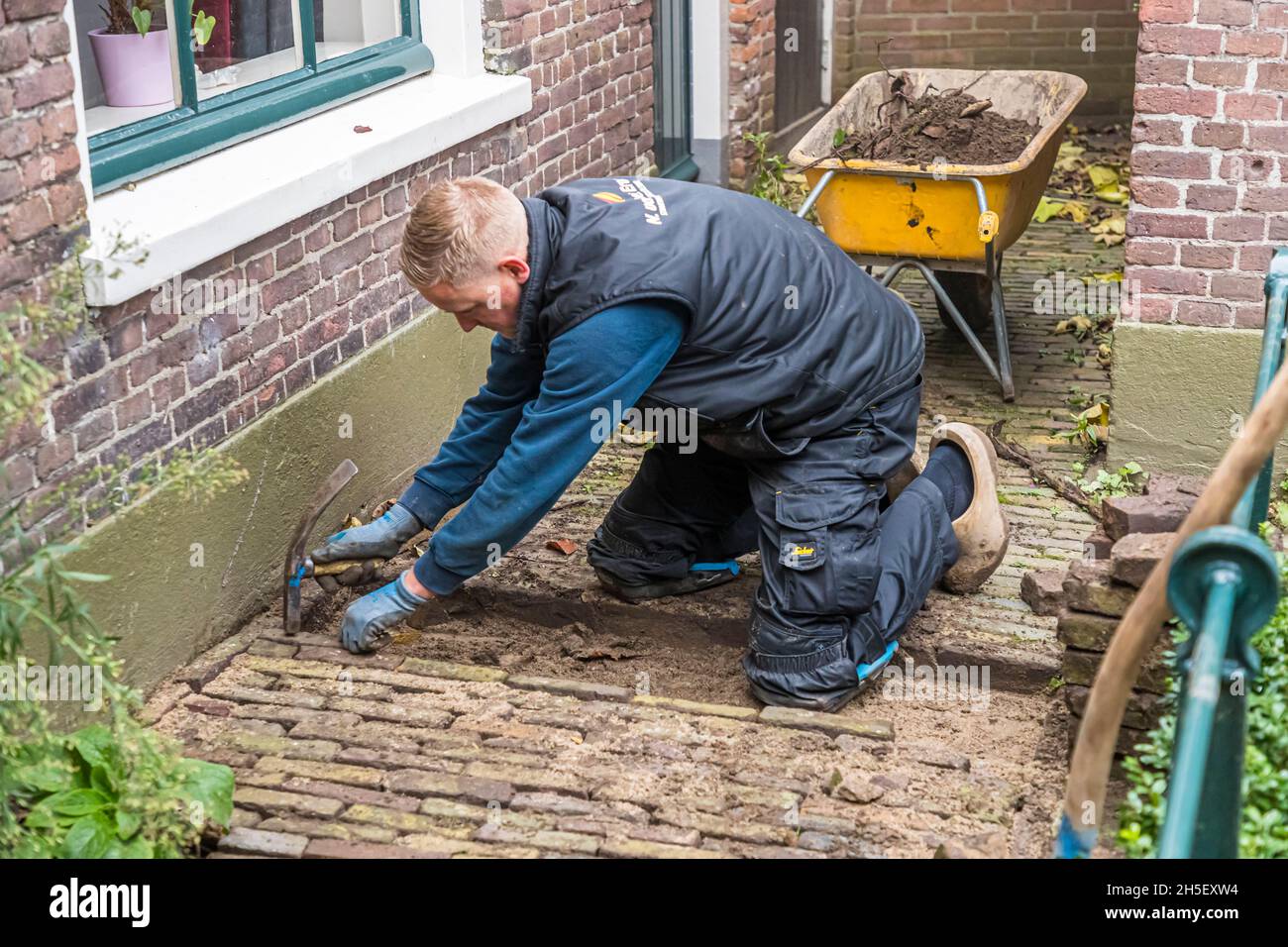 Dutch paving company repaving the path of a backyard with bricks in ...