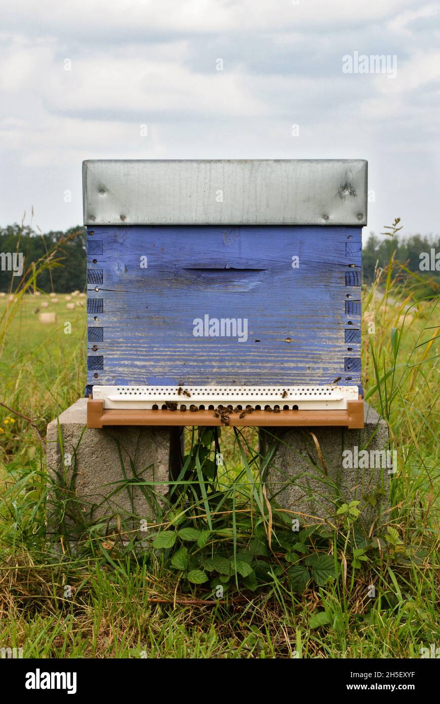 A blue beehive in the countryside Stock Photo - Alamy