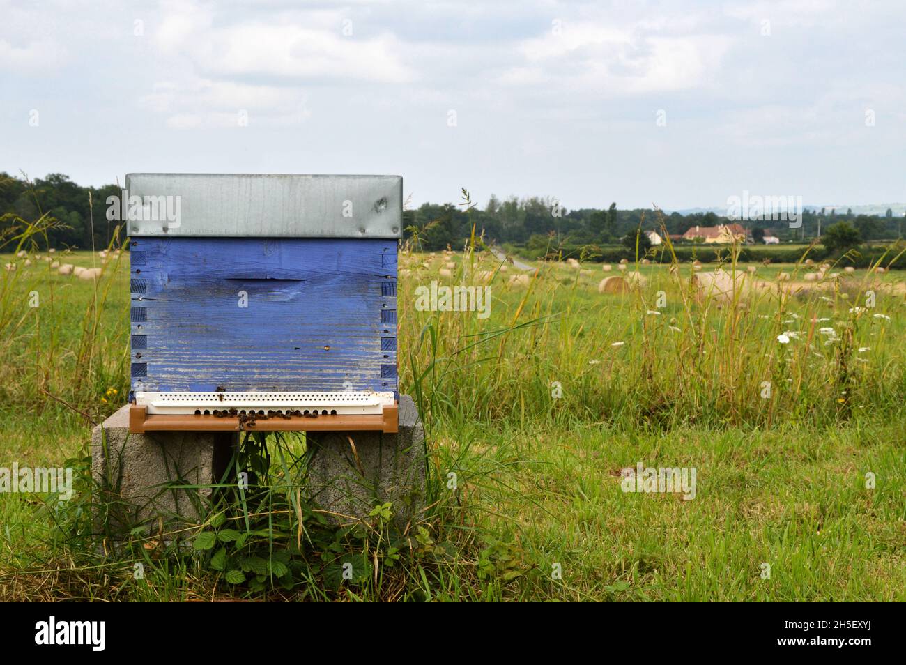 A blue beehive in the countryside Stock Photo - Alamy
