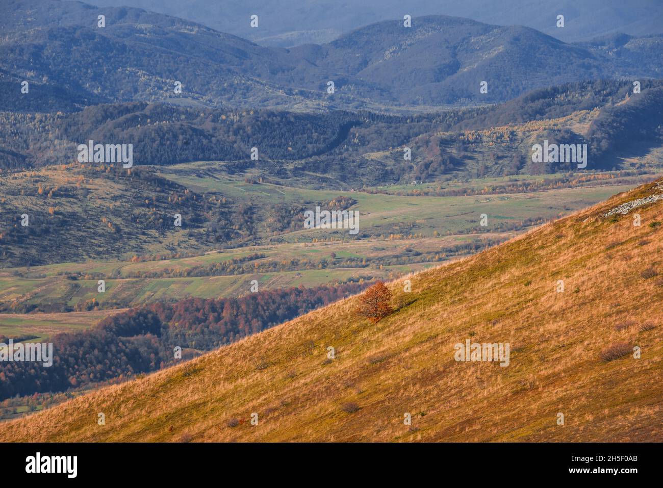 View of hills of Water Dividing ridge covered in red, orange and yellow ...