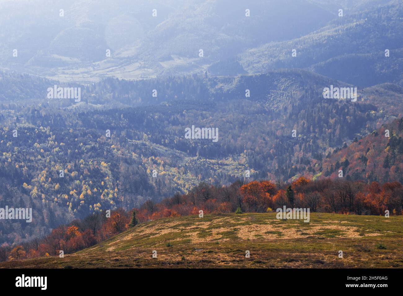 View of hills of Water Dividing ridge covered in red, orange and yellow ...