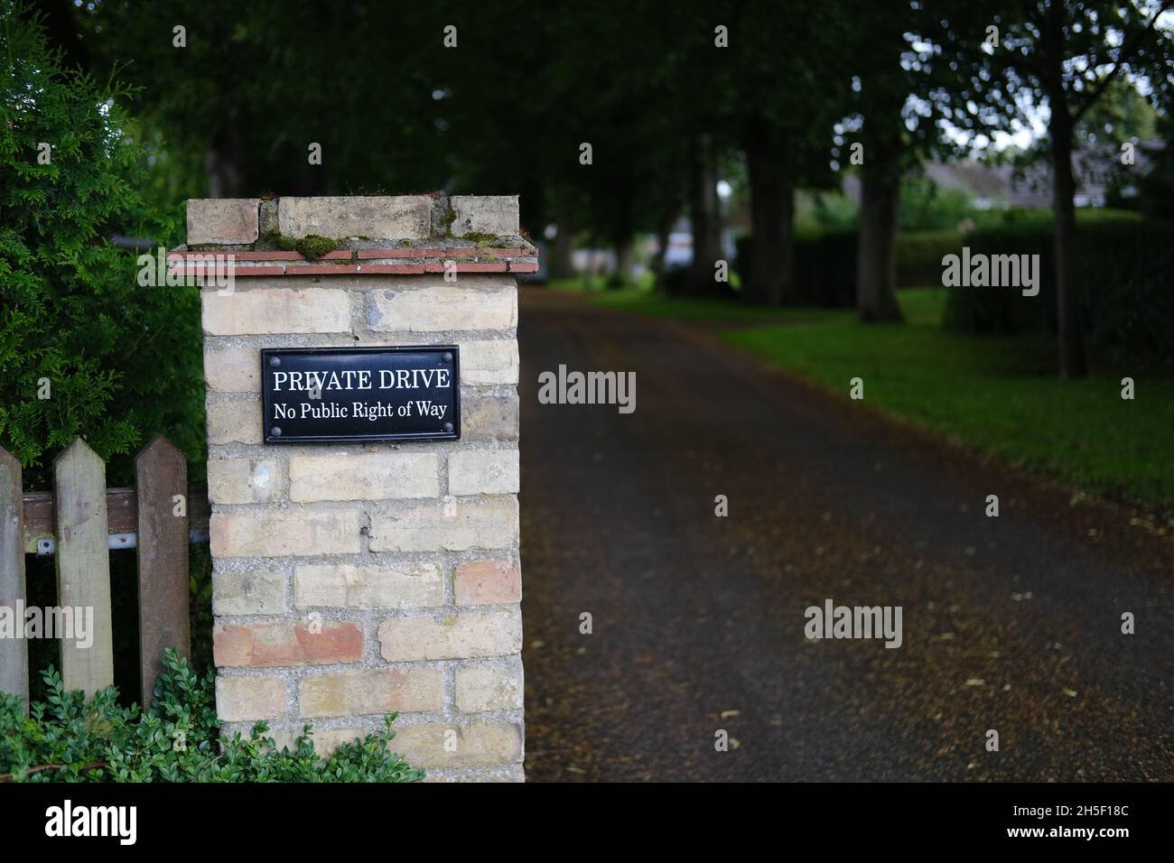 Private tree lined drive hi-res stock photography and images - Alamy
