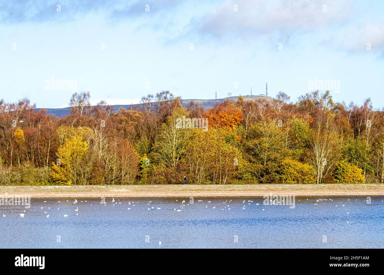 Clatto country park hi-res stock photography and images - Alamy