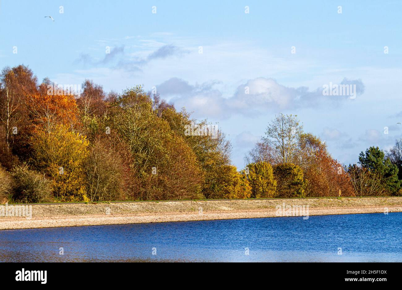 Clatto country park hi-res stock photography and images - Alamy