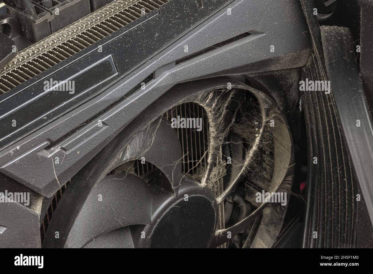 dusty black pro gaming graphic card fan blades with dust, airborne fur ...
