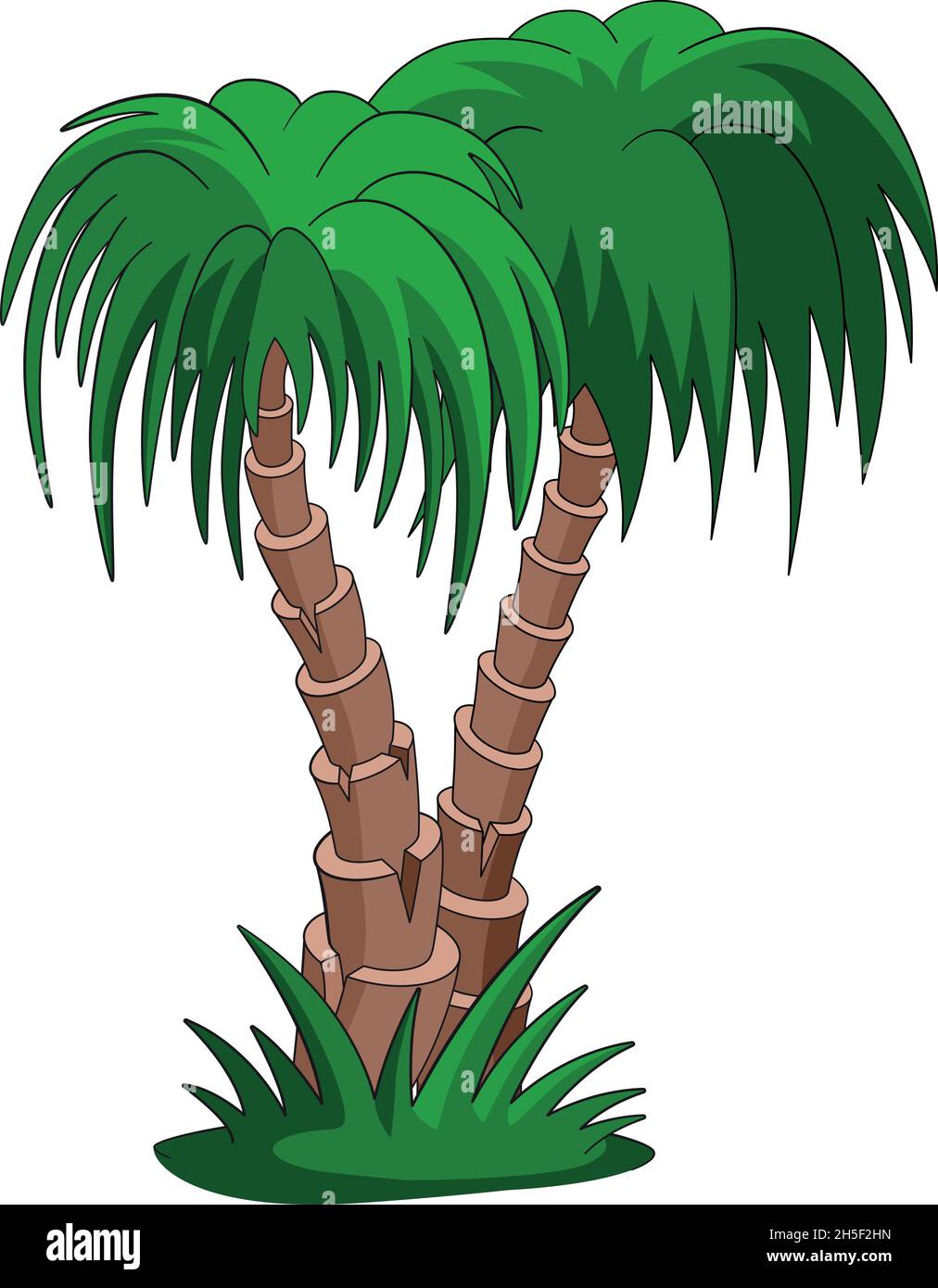 Pair of palms. Exotic resort tree in cartoon style Stock Vector Image ...