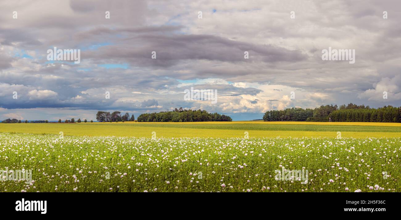 Field and cloudy sky hi-res stock photography and images - Alamy