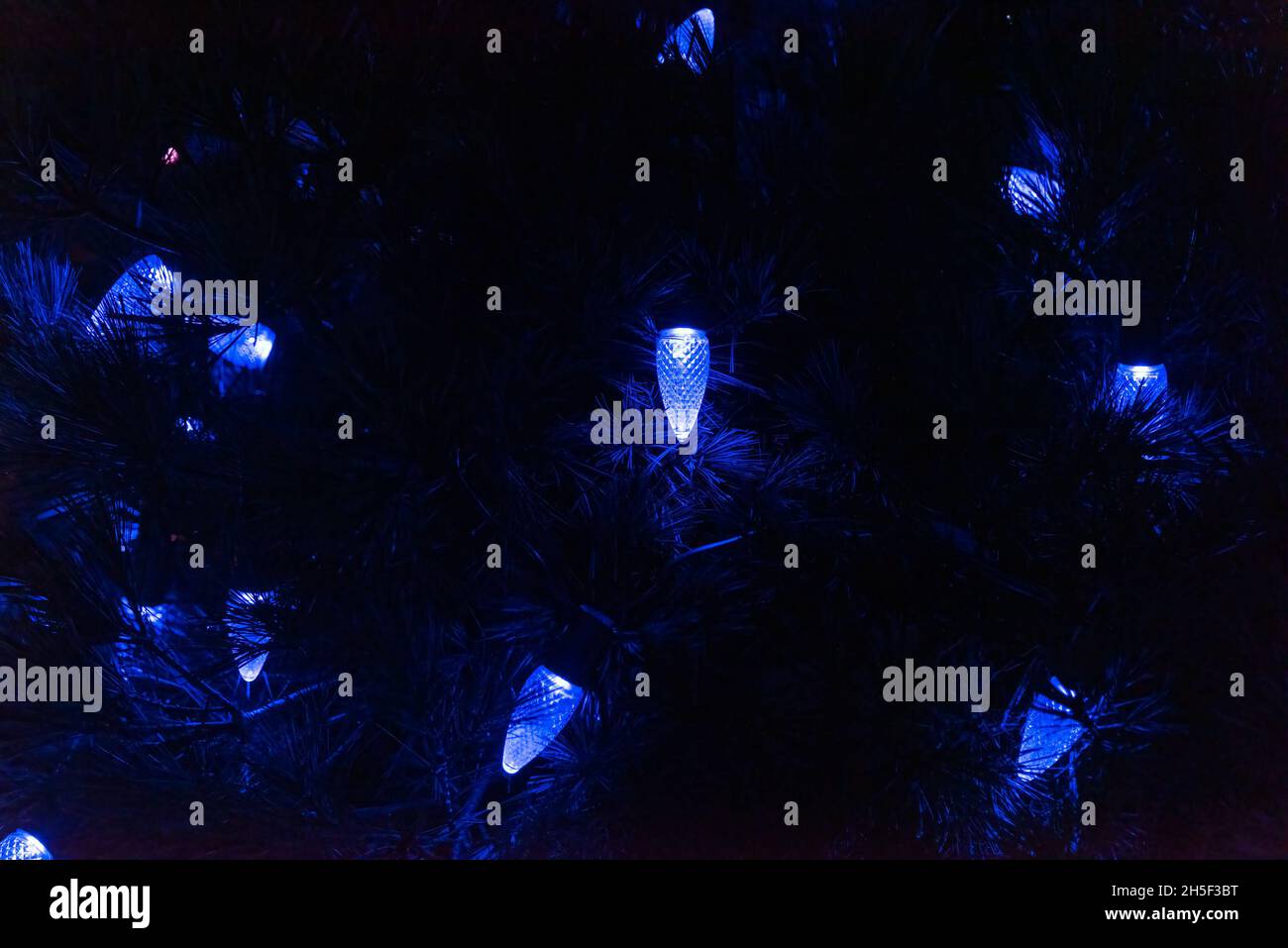 Cone shaped leaves hi-res stock photography and images - Alamy