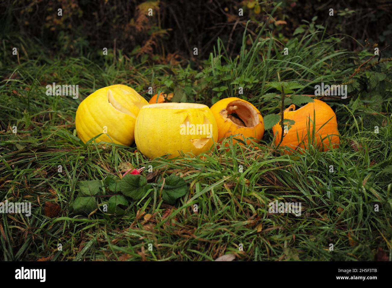 Comrade alone hi-res stock photography and images - Alamy