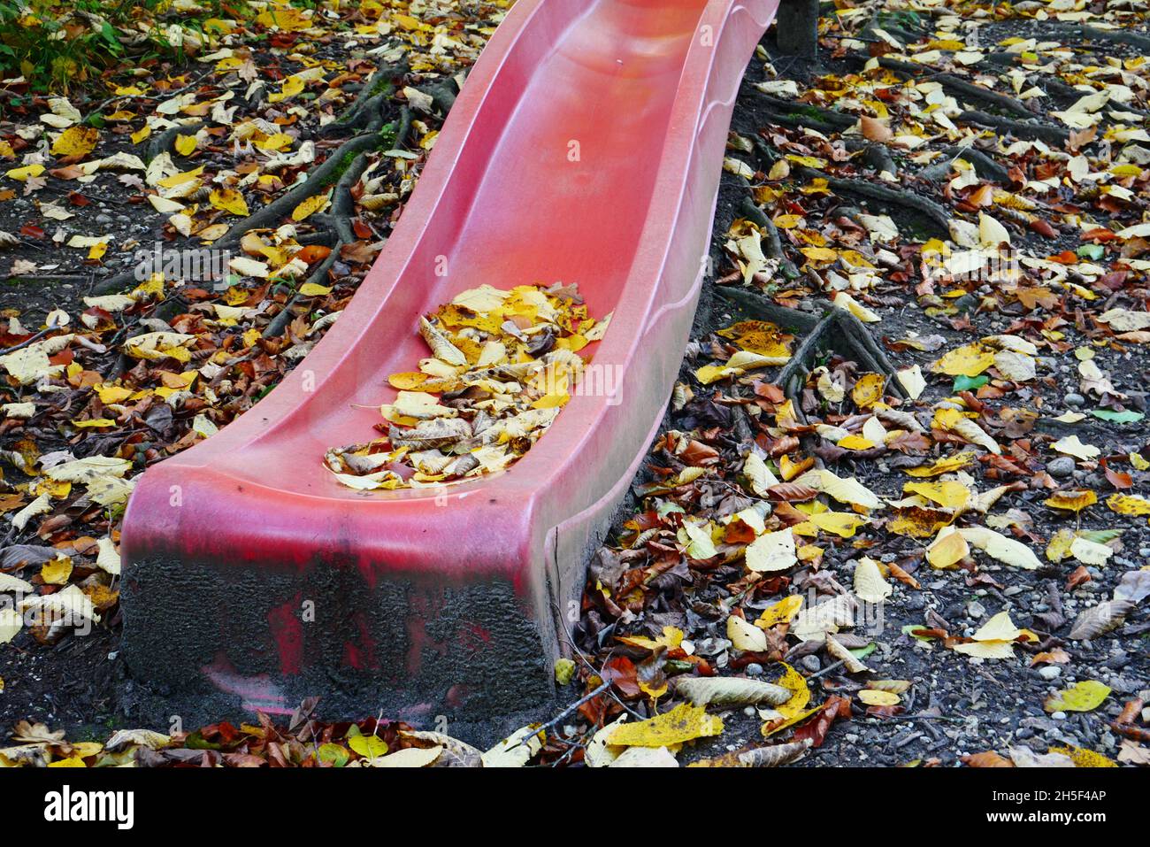 dirty and old red plastic children's slide in autumn forest next to and ...