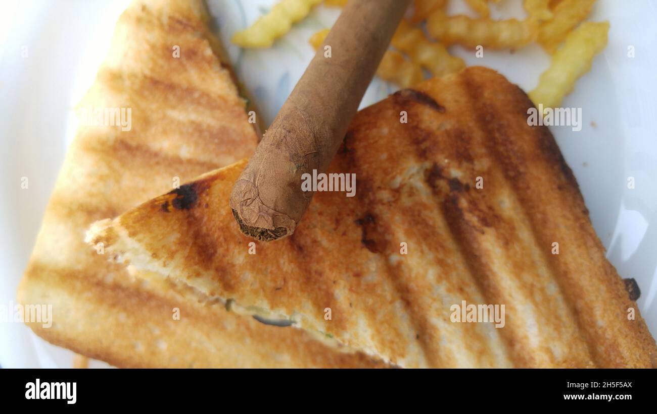 Panini sandwich along with a cuban cigar on a serving plate Stock Photo ...
