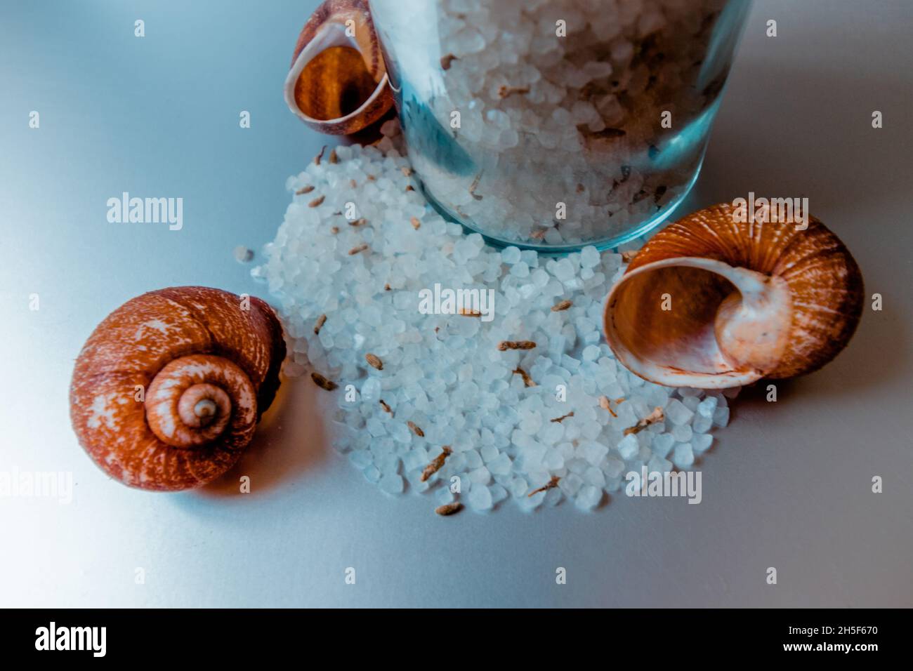 Sea white salt close-up next to seashells and a transparent jar Stock ...