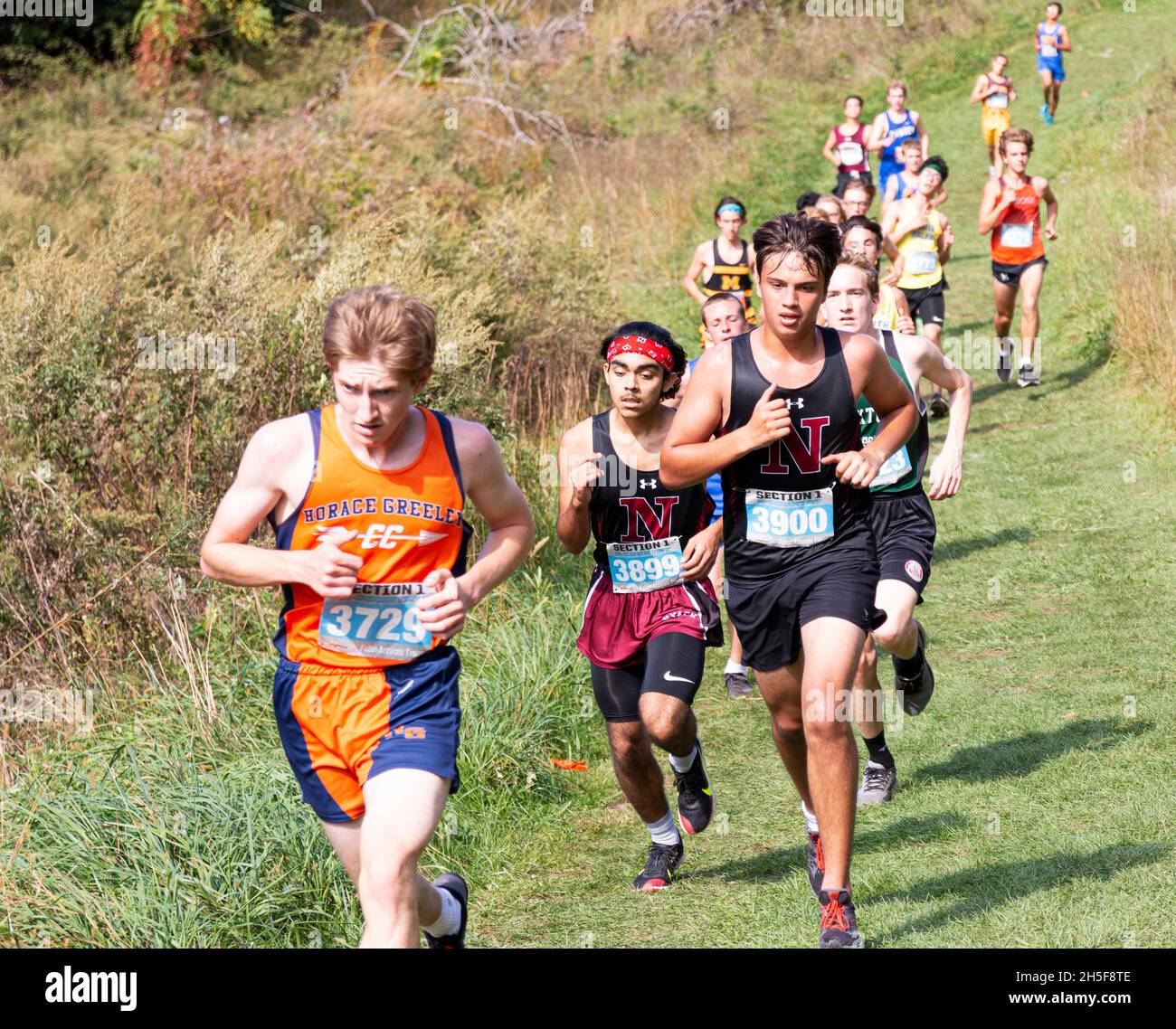 Teams run hi-res stock photography and images - Alamy