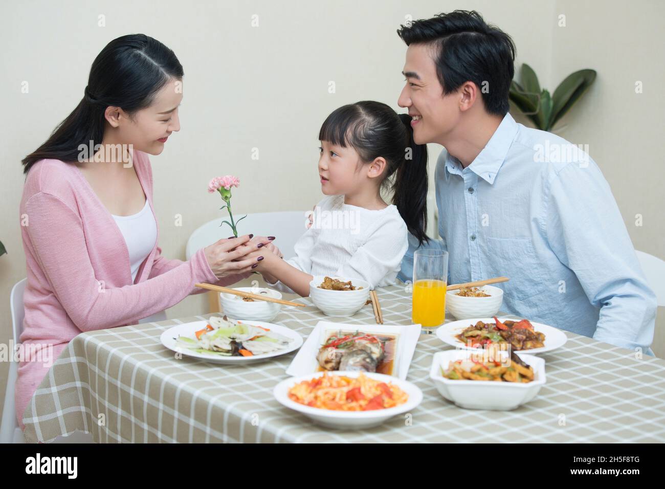 Carnation family hi-res stock photography and images - Alamy