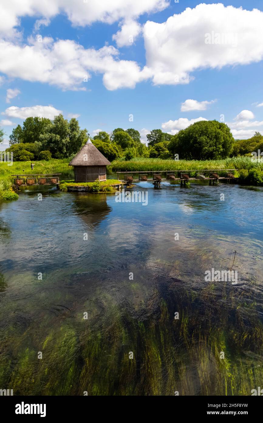 England, Hampshire, Test Valley, Stockbridge, Longstock, Leckford ...