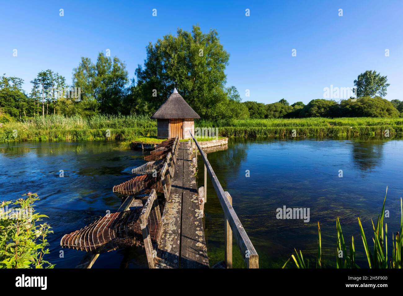 England, Hampshire, Test Valley, Stockbridge, Longstock, Leckford ...