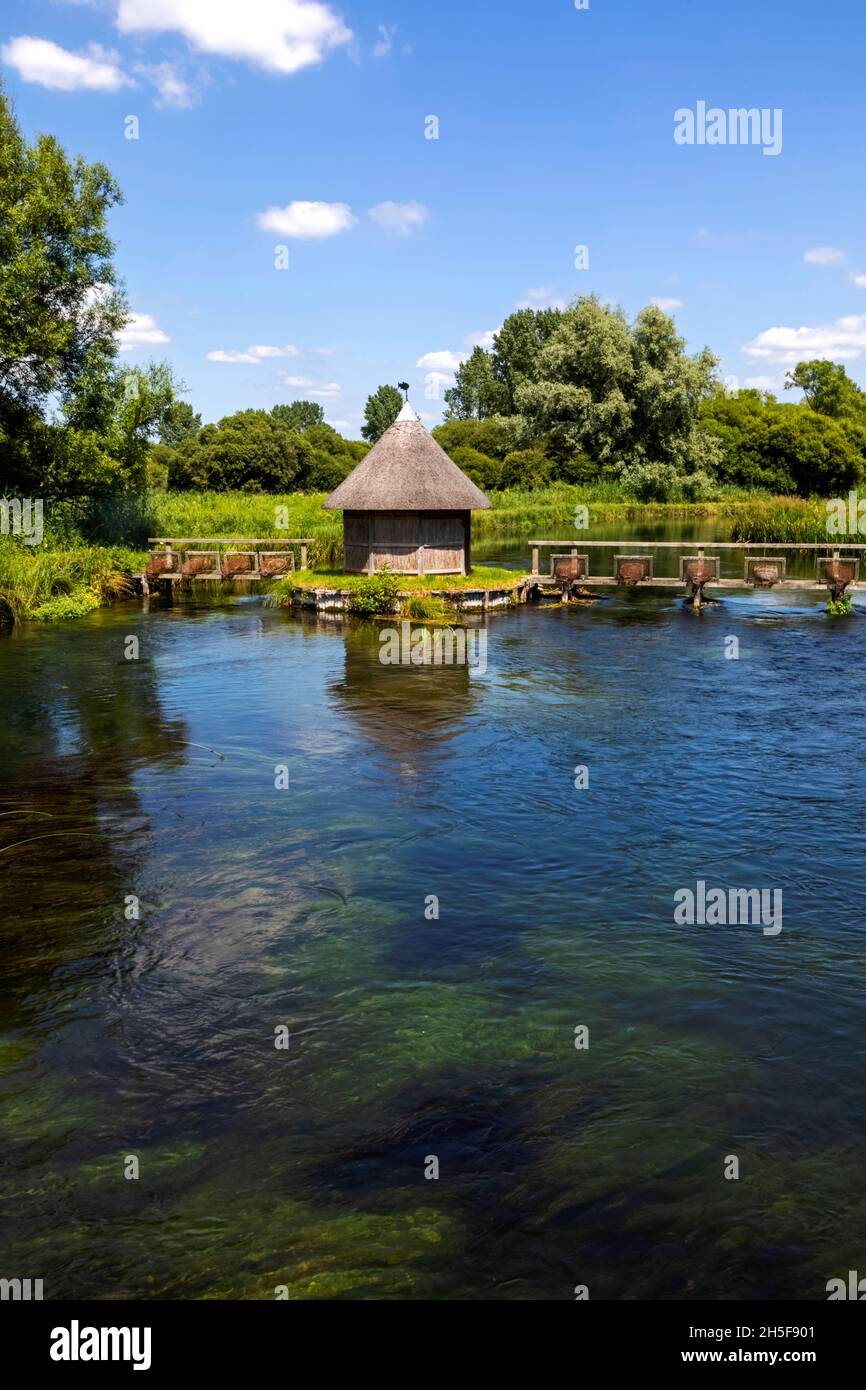 England, Hampshire, Test Valley, Stockbridge, Longstock, Leckford ...