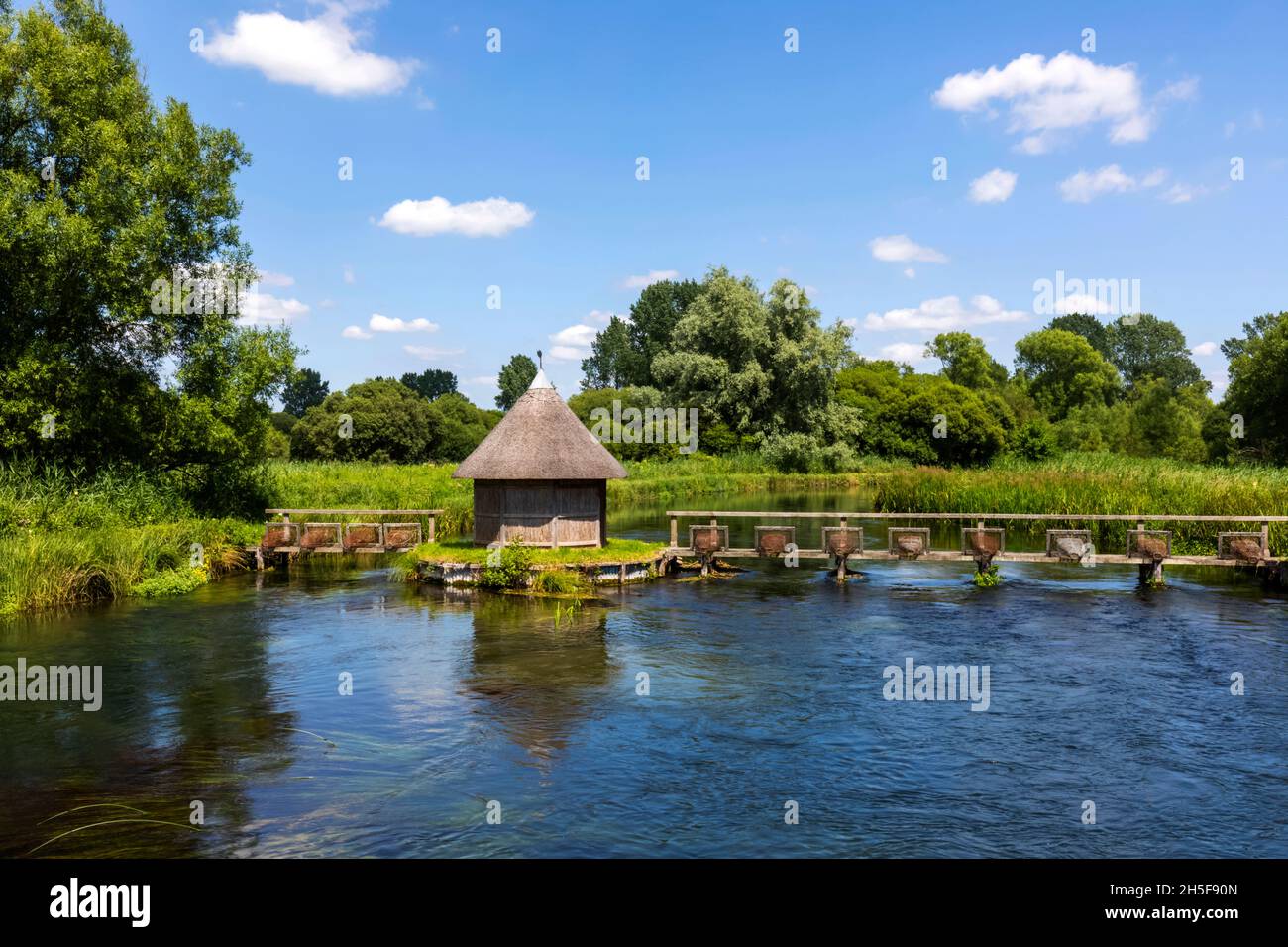 England, Hampshire, Test Valley, Stockbridge, Longstock, Leckford ...