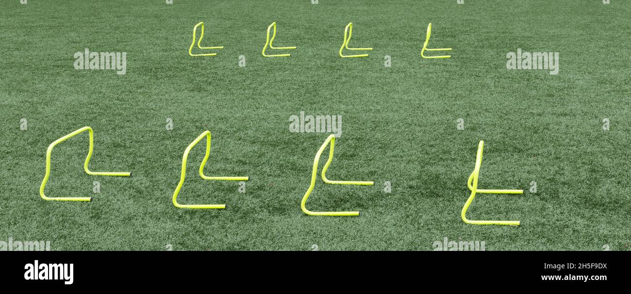 Horizontal view of two rows of yellow 12 inch mini hurdles set up for agility practice on a turf ...