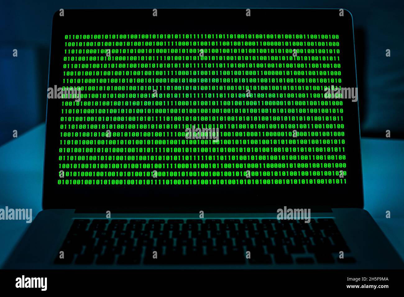 Laptop with green numbers on display. Successful login with credentials ...