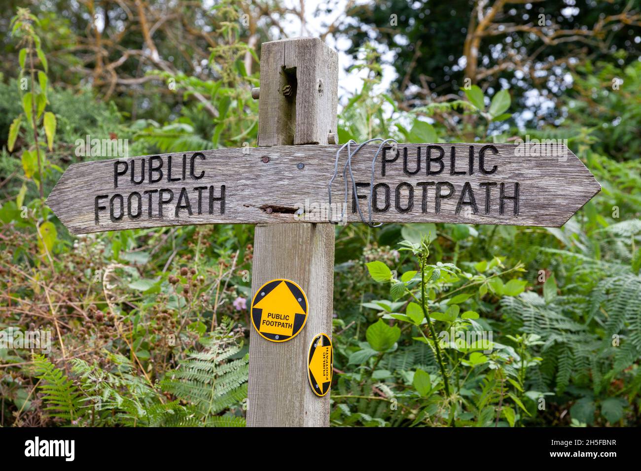 Public footpath sign indicating four directions on a weathered wooden ...