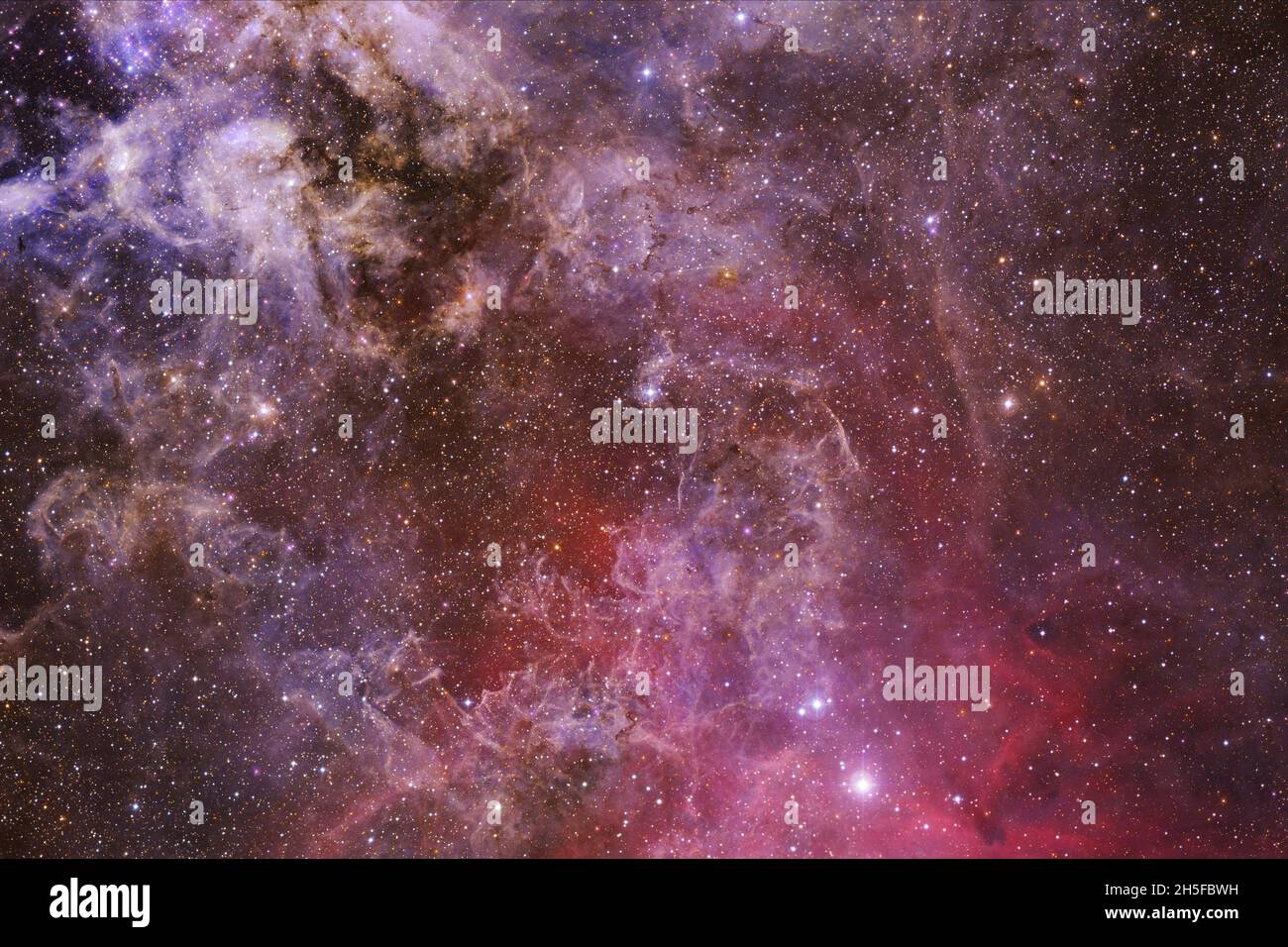 Cluster of stars. Starfield. Nebula. Elements of this image furnished ...