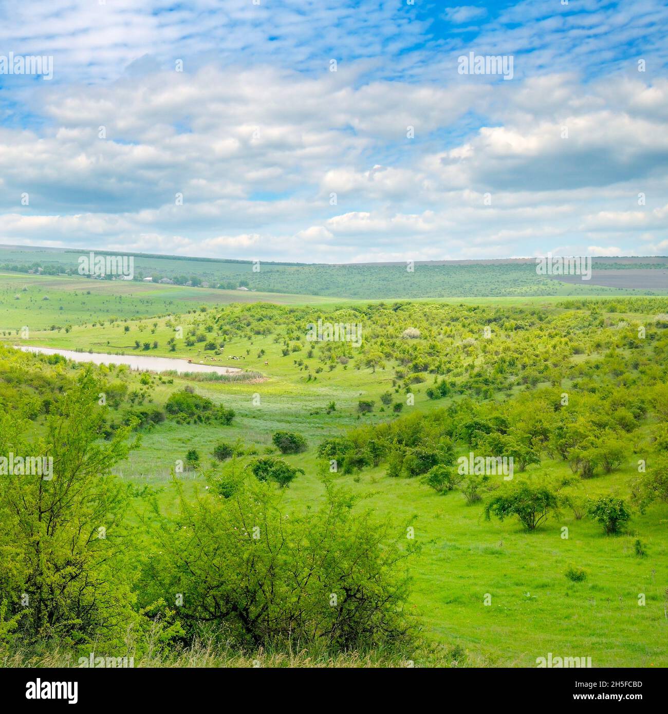 River valley with hills and terraces. On the slopes grow shrubs, trees ...