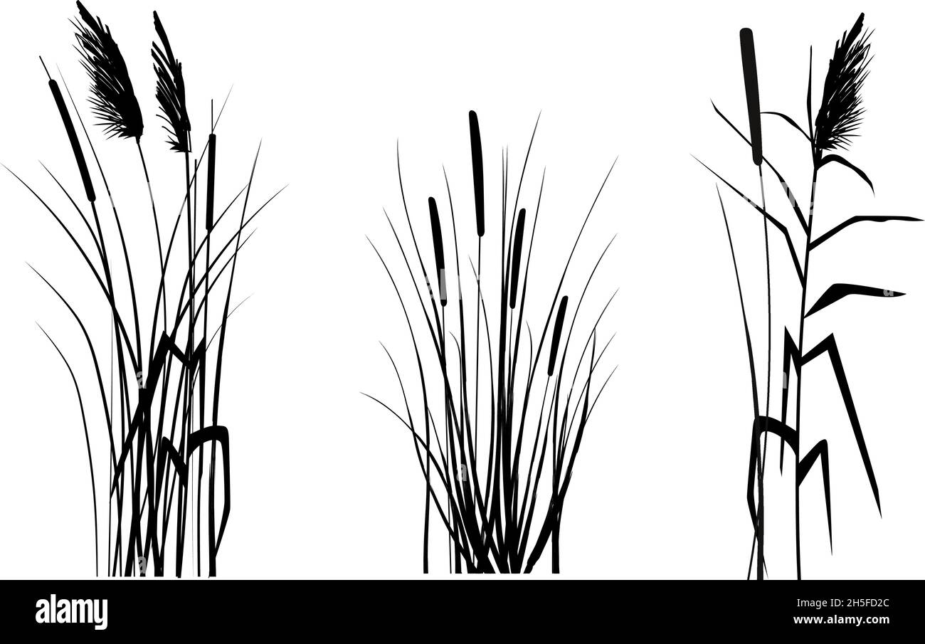 Cane silhouette on white background. Vector hand drawing sketch with ...