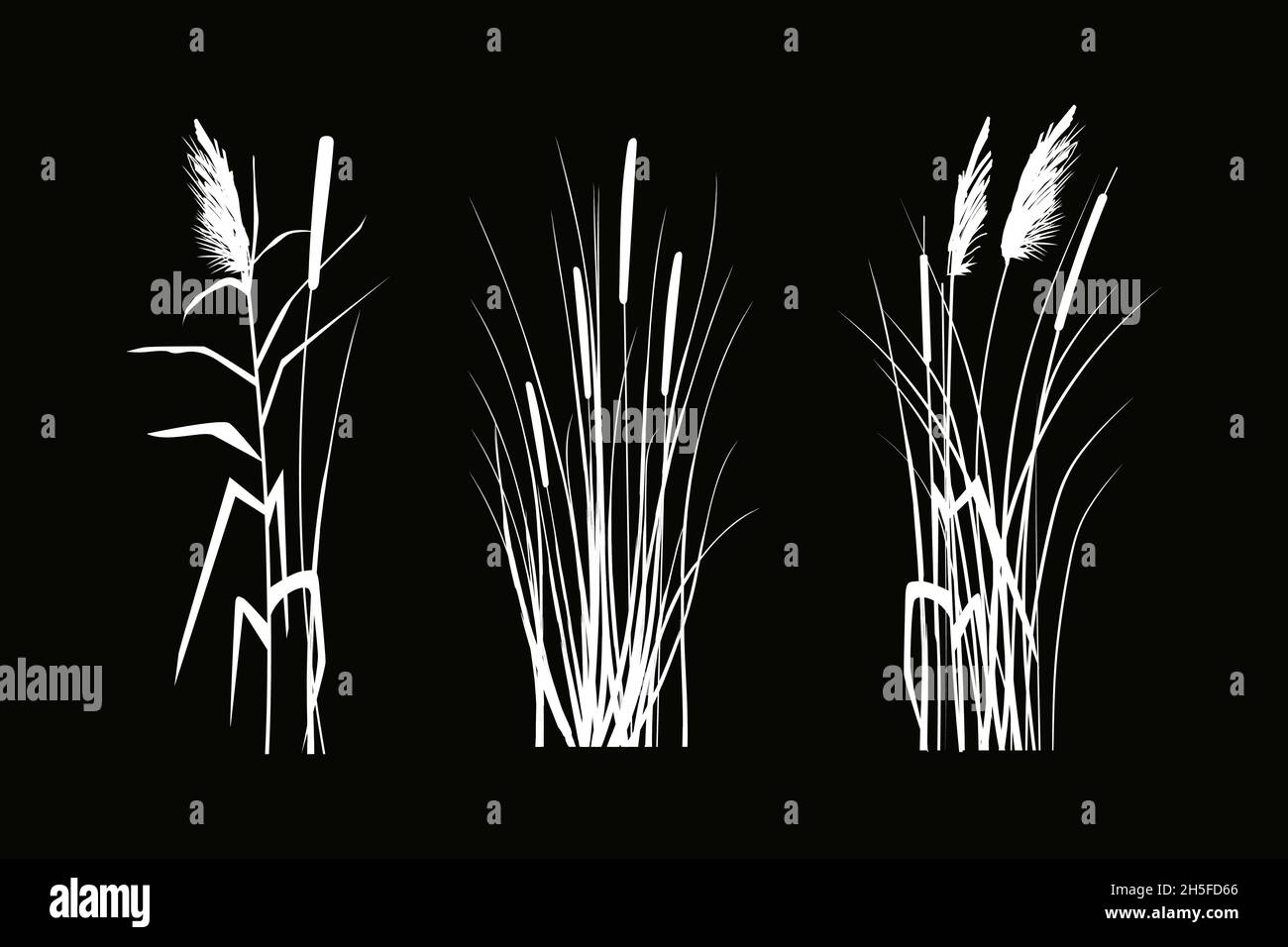 Cane silhouette on white background. Vector hand drawing sketch with ...