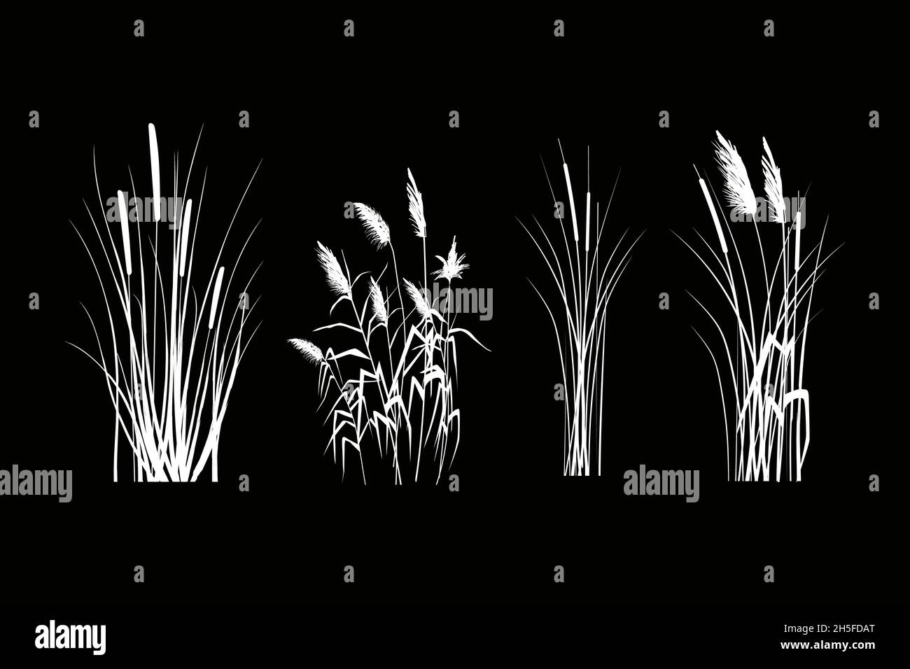 Cane silhouette on white background. Vector hand drawing sketch with ...